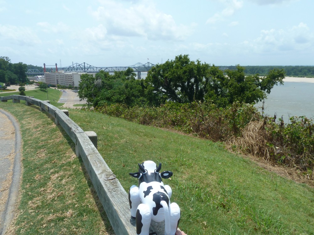 Piako crosses the Mighty Mississippi River – Meandering Kiwis